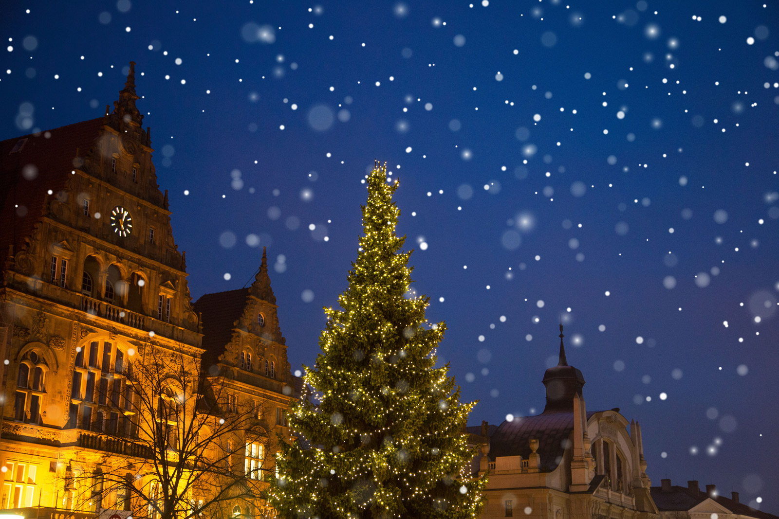 Willkommen in Bielefeld | Bielefeld